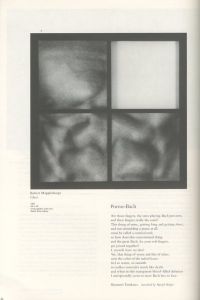 NORMAL A Quarterly of Arts and Ideas Number 2 / Summer 1987 / Edit ...